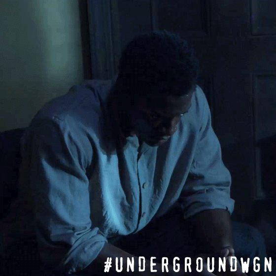 GIF by Underground - Find & Share on GIPHY
