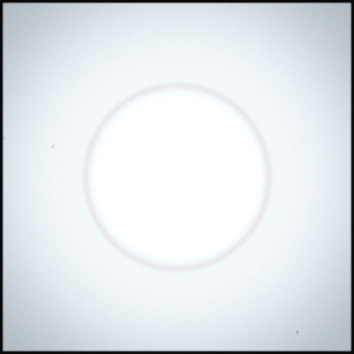 White Out Gif Artist GIF by Erica Anderson - Find & Share on GIPHY