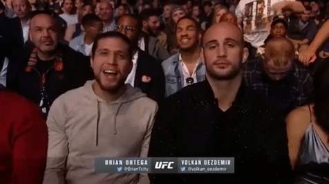 Ufc 219 Mma GIF by UFC - Find & Share on GIPHY