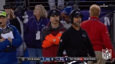 Baltimore Ravens Football GIF by NFL - Find & Share on GIPHY