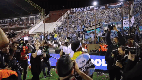 Libertadores Gremio Campeao GIF by Grêmio - Find & Share on GIPHY