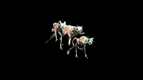 Cats Running GIF by Jeron Braxton - Find & Share on GIPHY