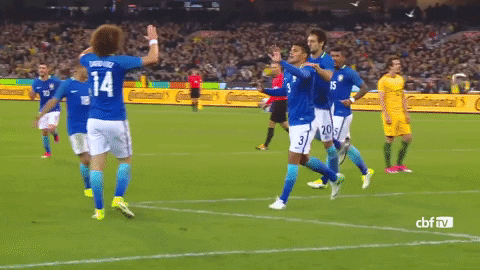 Selecao Brasileira Football GIF by Confederação Brasileira de Futebol ...