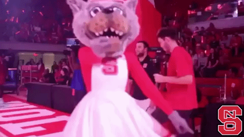 Nc State Mascot GIF by NC State Athletics - Find & Share on GIPHY