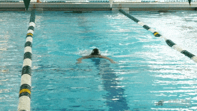 Athletics Swimming GIF by GreenWave - Find & Share on GIPHY