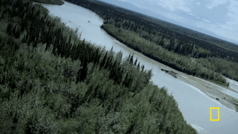 Life Below Zero GIF by National Geographic Channel - Find & Share on GIPHY