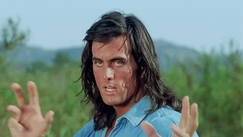 Samurai Cop Fight GIF by RiffTrax - Find & Share on GIPHY