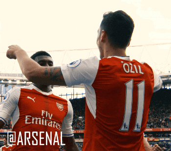 Premier League Football GIF by Arsenal - Find & Share on GIPHY