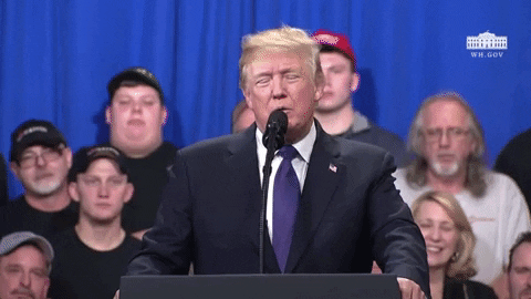Donald Trump GIF by Resi News – Nachrichten, die Spaß machen - Find ...