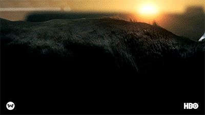 [SPOILER] Uncovering Delos - The Compilation Thread : r/westworld