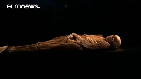 Mummy GIF by euronews - Find & Share on GIPHY