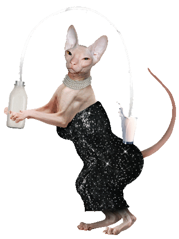 Kim Kardashian Cat Sticker by Saint Hoax for iOS & Android | GIPHY