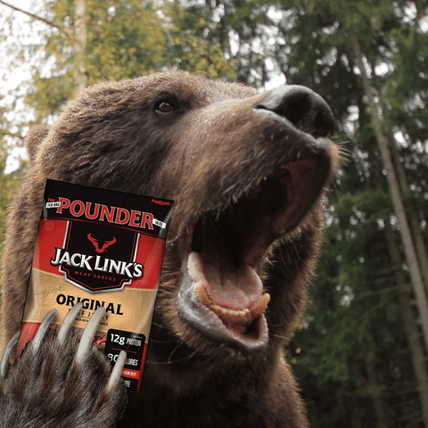 GIF by Jack Link's Jerky - Find & Share on GIPHY