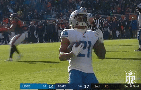Detroit Lions Football GIF by NFL - Find & Share on GIPHY