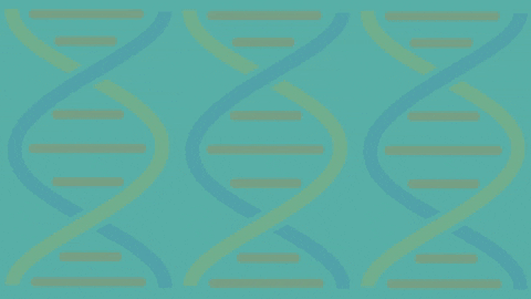 Genetic Testing Kids GIF by Rewire.org - Find & Share on GIPHY