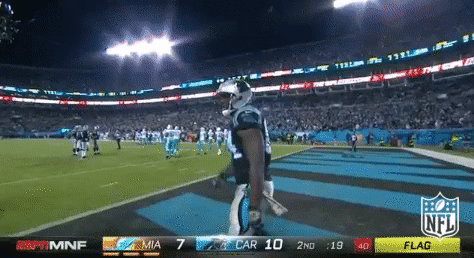 Carolina Panthers Football GIF by NFL - Find & Share on GIPHY