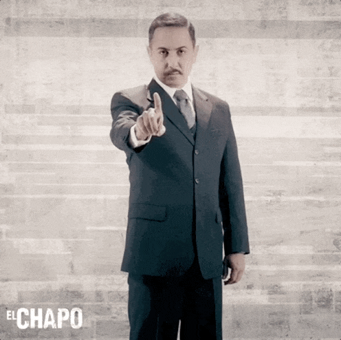 #Chapo #Netflix #Narco #Politics GIF - Find & Share on GIPHY