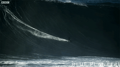 Bbc One Oceans GIF by BBC - Find & Share on GIPHY