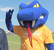 Mascot Rattlers GIF by St. Mary's University - Find & Share on GIPHY