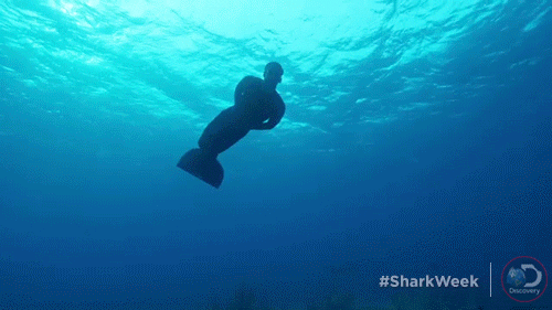 Michael Phelps Swimming GIF by Shark Week - Find & Share on GIPHY