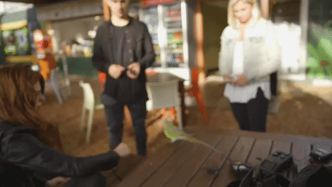 The Next Step Show The World GIF by The Next Step - Find & Share on GIPHY