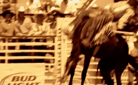 Horsepower GIF by Chris LeDoux - Find & Share on GIPHY