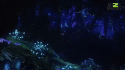 Animal Planet GIF - Find & Share on GIPHY