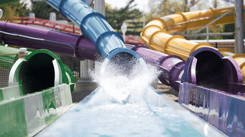 - Find & Share on GIPHY