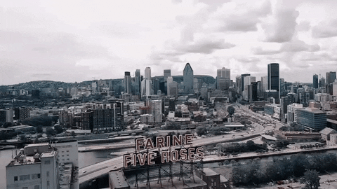 City Landscape GIF by Much - Find & Share on GIPHY