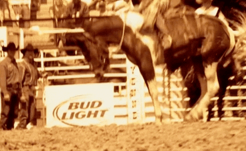 Horsepower GIF by Chris LeDoux - Find & Share on GIPHY