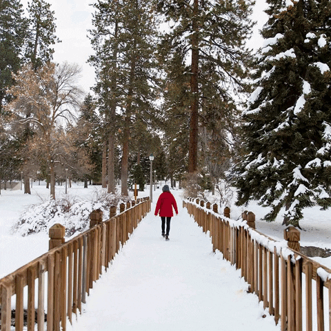 Sunriver Resort Bend GIF by Travel Oregon - Find & Share on GIPHY