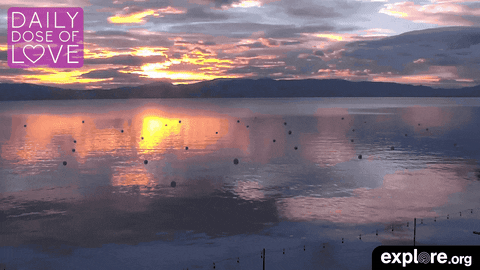 Lake Tahoe Water GIF by explore.org - Find & Share on GIPHY