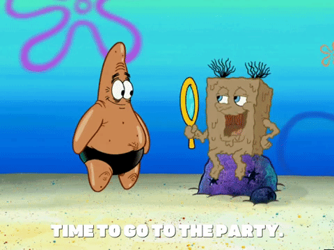 Season 6 GIF by SpongeBob SquarePants - Find & Share on GIPHY