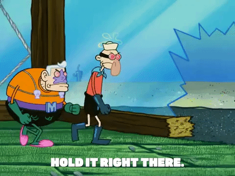 Season 5 Blackened Sponge GIF by SpongeBob SquarePants - Find & Share ...