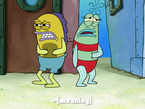 Season 8 GIF by SpongeBob SquarePants - Find & Share on GIPHY
