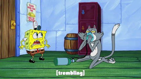 Season 9 Episode 10 GIF by SpongeBob SquarePants - Find & Share on GIPHY