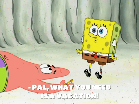 Season 8 Spongebob'S Runaway Roadtrip: Patrick'S Staycation GIF by ...