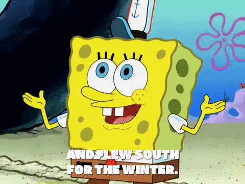 Season 8 Barnacle Face GIF by SpongeBob SquarePants - Find & Share on GIPHY