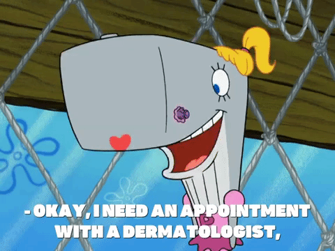 Season 8 Barnacle Face GIF by SpongeBob SquarePants - Find & Share on GIPHY