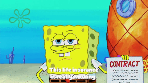 Season 10 Episode 6 GIF by SpongeBob SquarePants - Find & Share on GIPHY