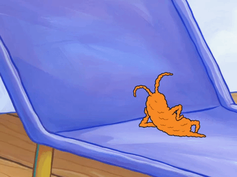 Season 8 Spongebob'S Runaway Roadtrip: Patrick'S Staycation GIF by ...