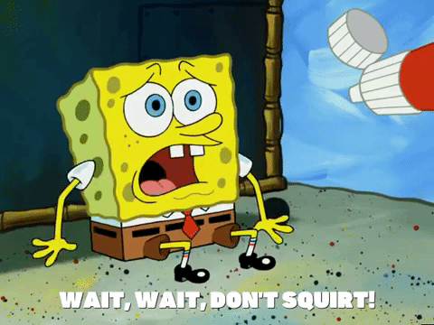 Season 5 Episode 13 GIF by SpongeBob SquarePants - Find & Share on GIPHY