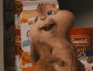 Chipmunk GIF - Find & Share on GIPHY