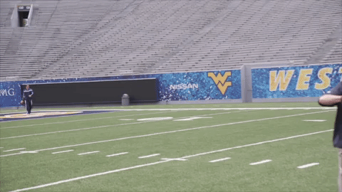 Big Cat Pft GIF by Barstool Sports - Find & Share on GIPHY