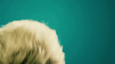 Perk Up Music Video GIF by Moon Bounce - Find & Share on GIPHY