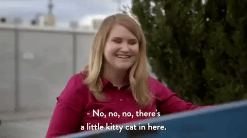 Comedy Central Jillian Belk GIF by Workaholics - Find & Share on GIPHY