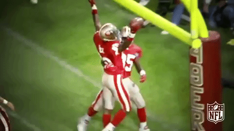 San Francisco 49Ers GIF by NFL - Find & Share on GIPHY