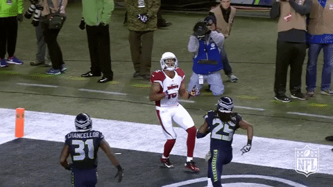 Arizona Cardinals Football GIF by NFL - Find & Share on GIPHY