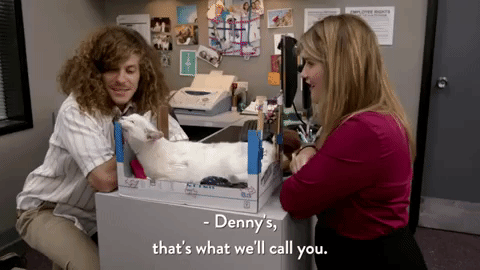 Comedy Central Jillian Belk GIF by Workaholics - Find & Share on GIPHY