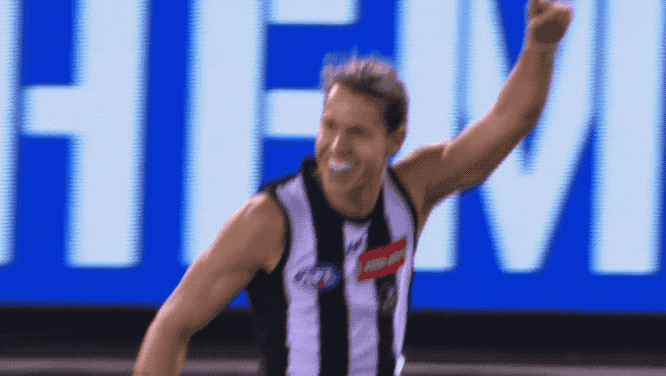 Football Afl GIF by CollingwoodFC - Find & Share on GIPHY